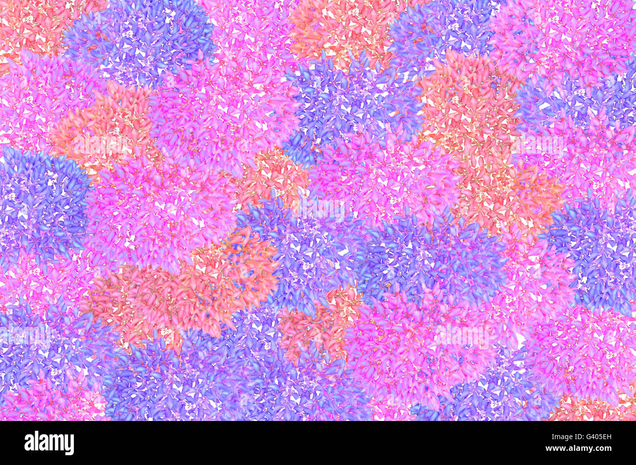 Many color flower spike blooming background Stock Photo - Alamy