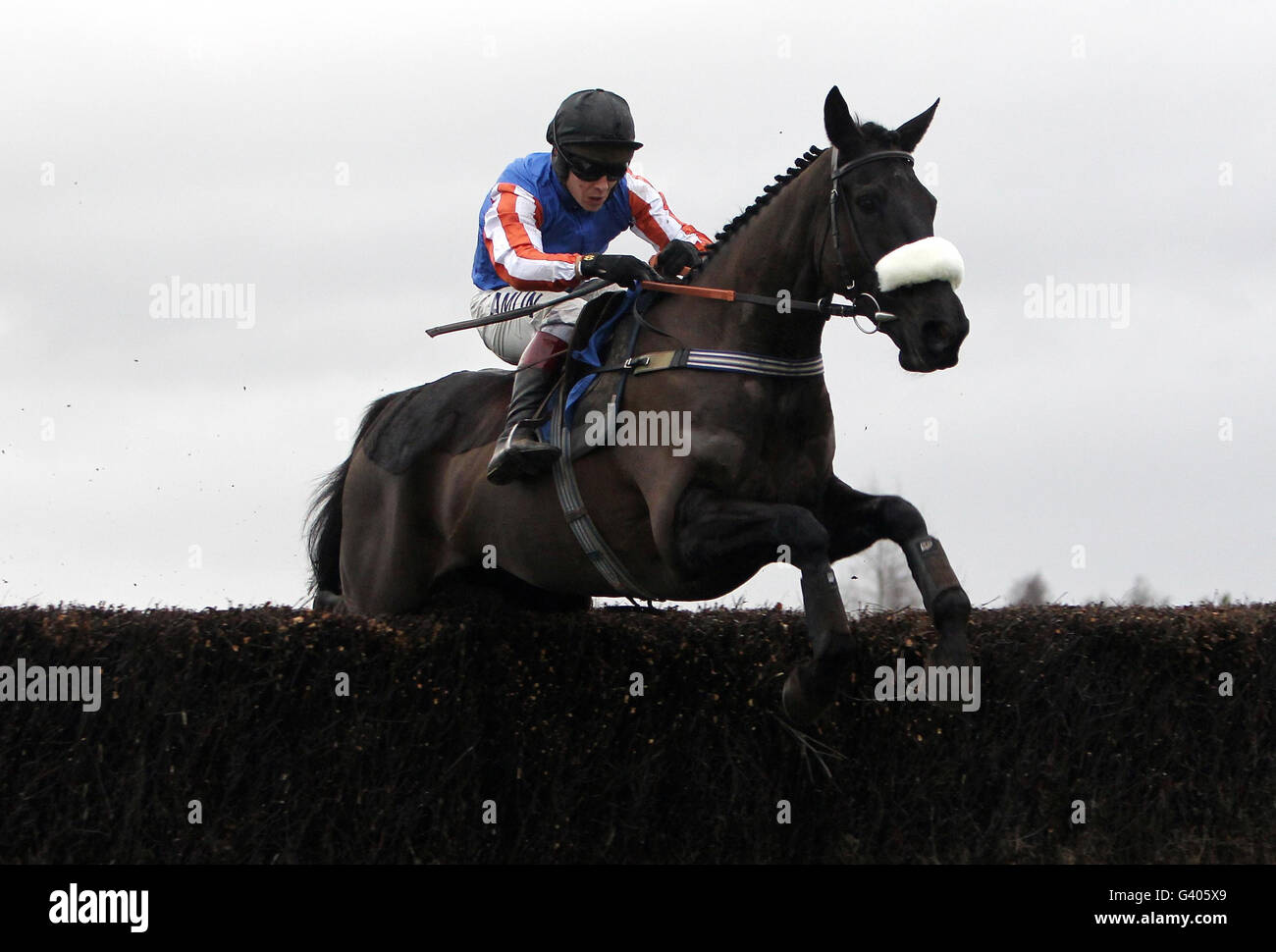 Horse Racing - Hereford Racecourse Stock Photo - Alamy
