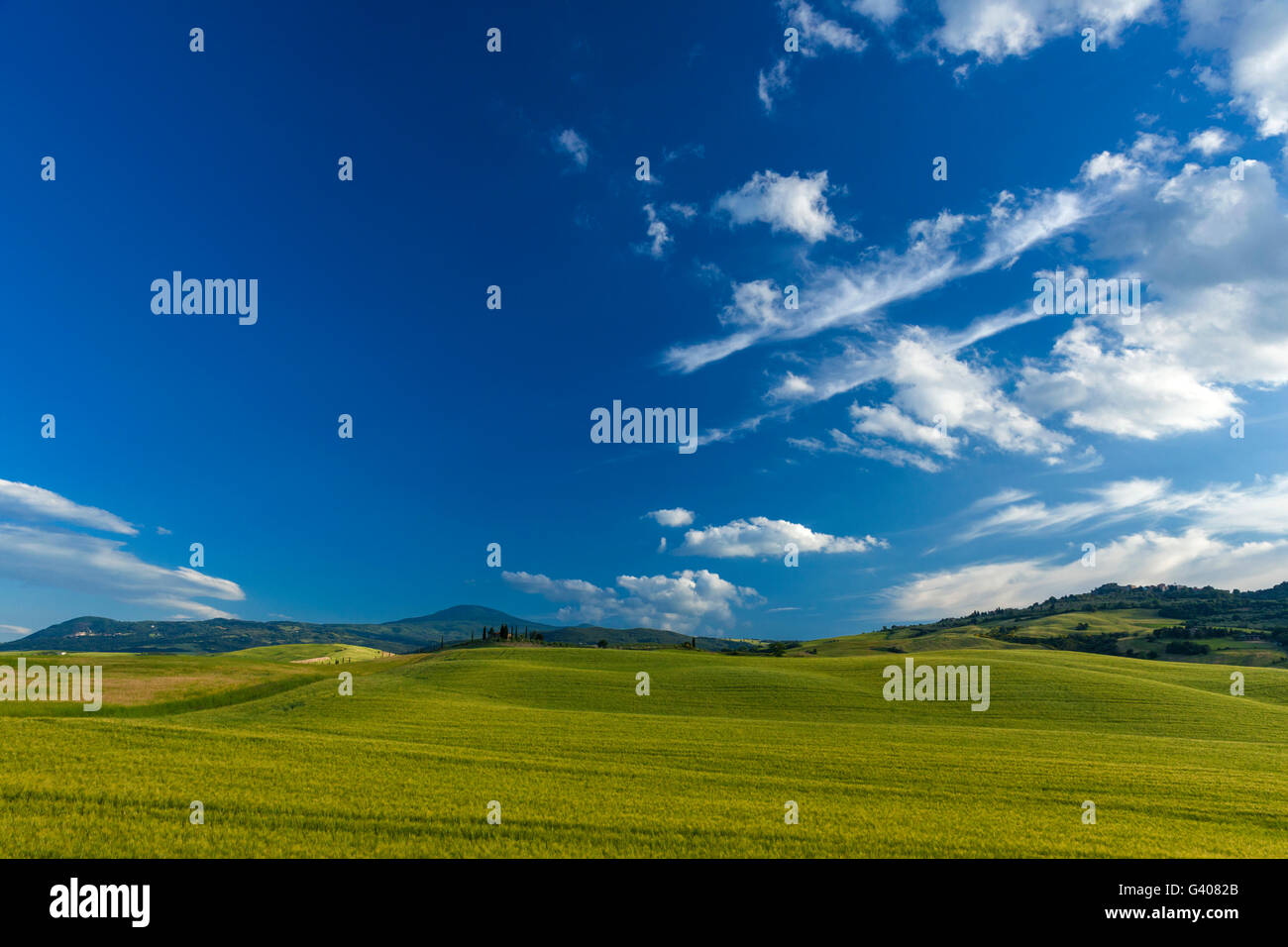 A Tuscan meadow, Italy Stock Photo - Alamy