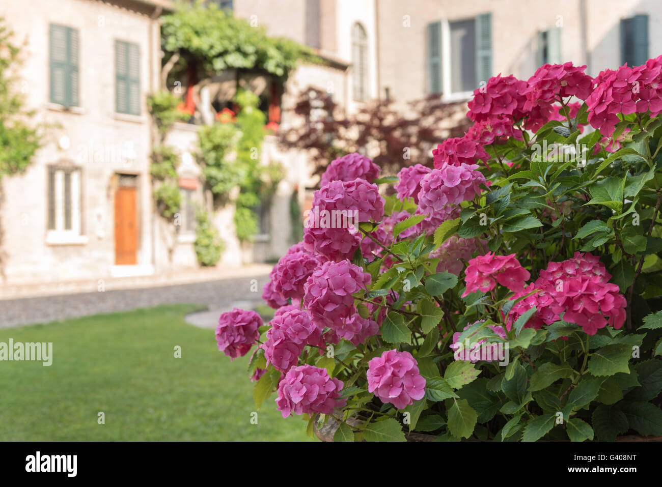 Bouquet of colorful flowers in an hidden garden in Ferrara Italy Stock ...