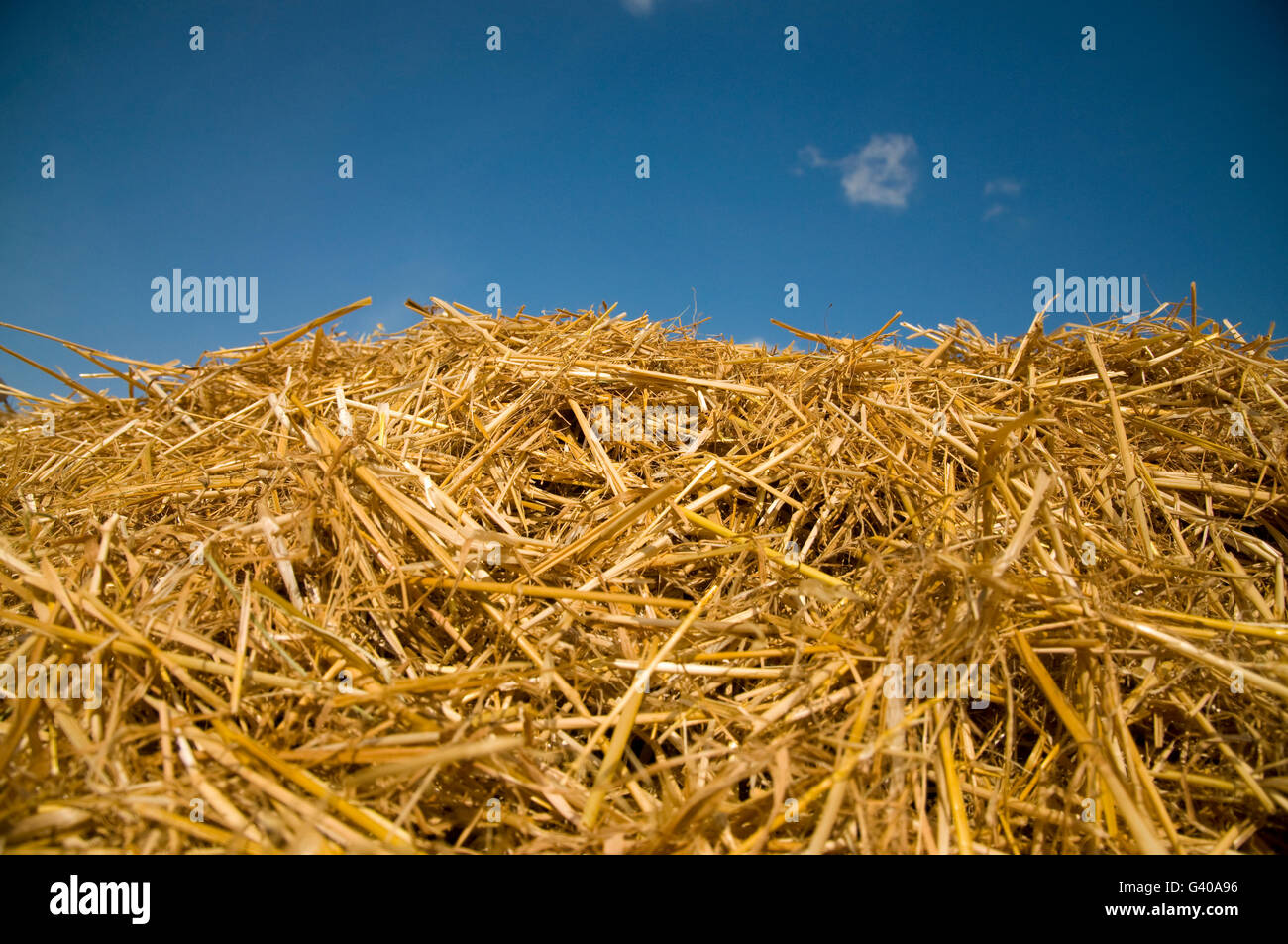 Straw bale, Hay stack Stock Photo - Alamy