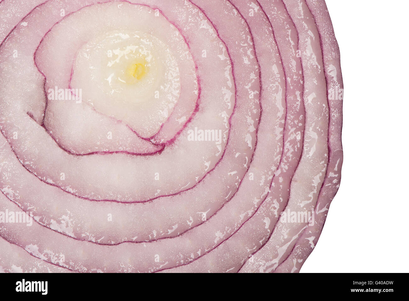 Cross section onion hi-res stock photography and images - Alamy
