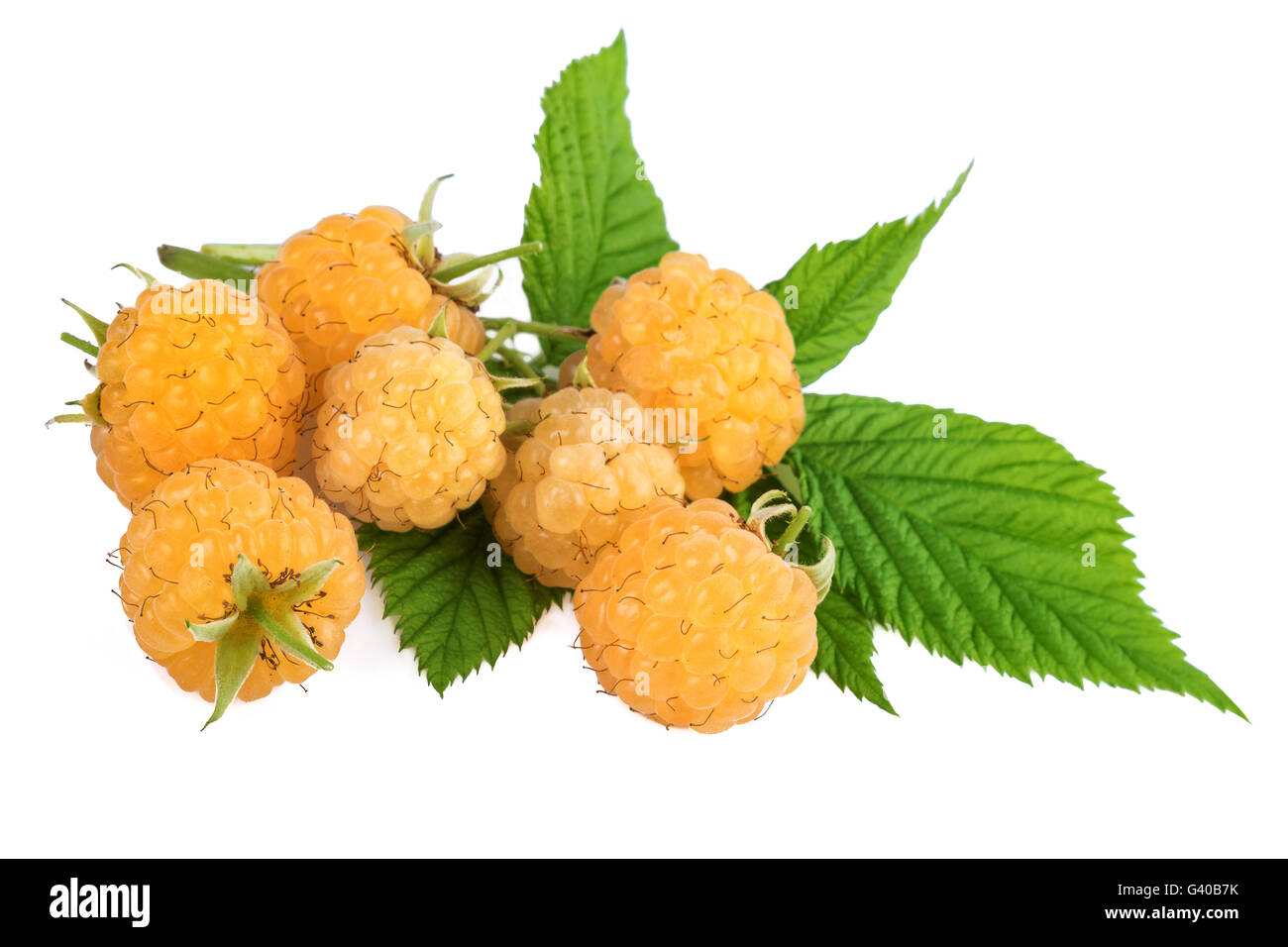 Yellow raspberries isolated on white Stock Photo - Alamy
