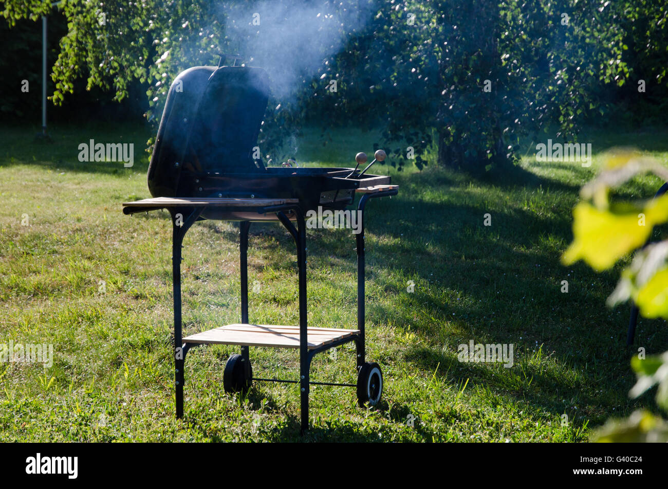 Smoke from a grill on the lawn in a green garden Stock Photo - Alamy
