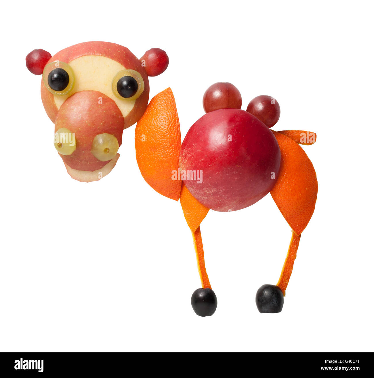 Funny camel made of fruits on white background Stock Photo - Alamy