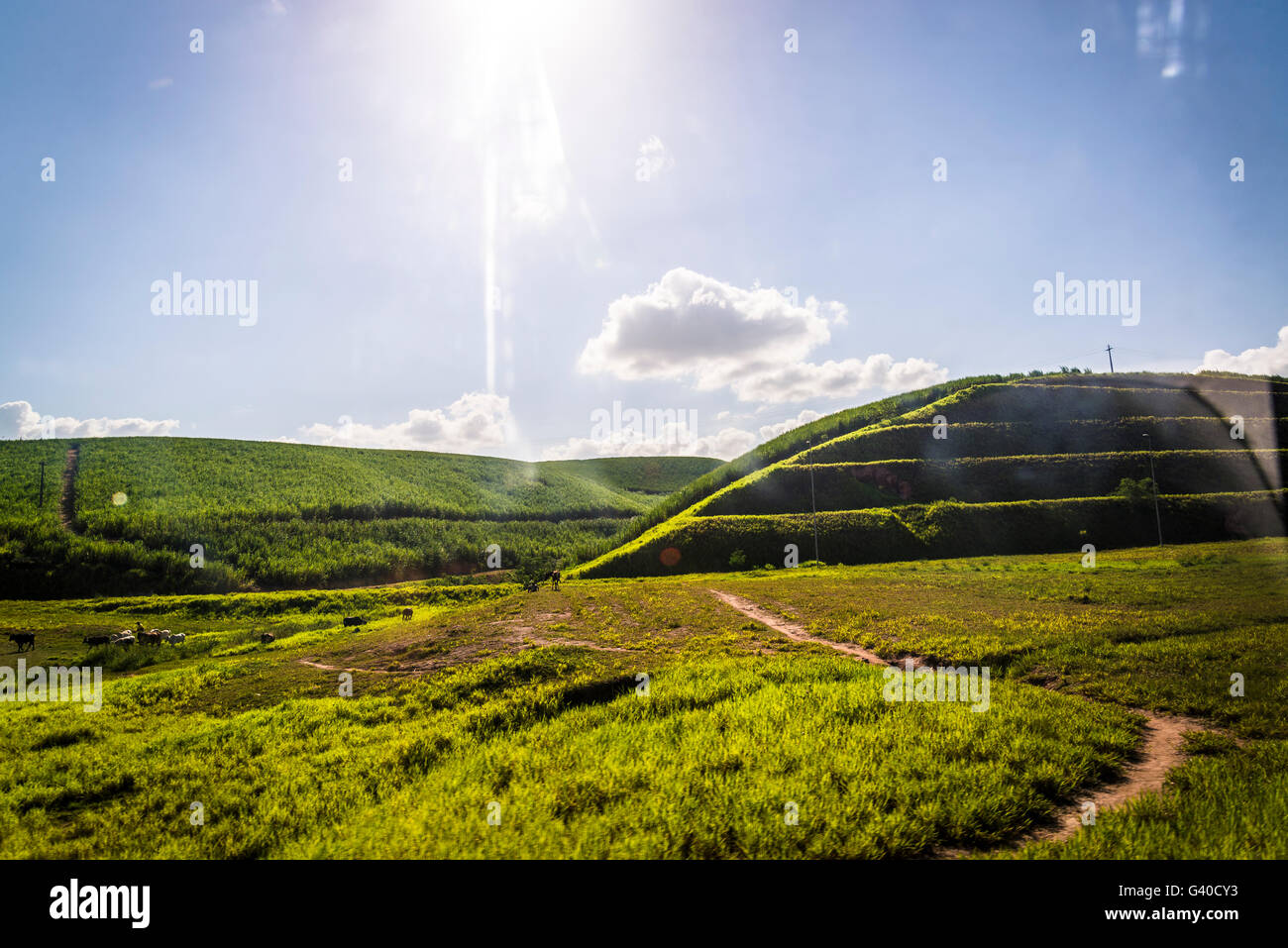 Countryside of brazil hi-res stock photography and images - Alamy