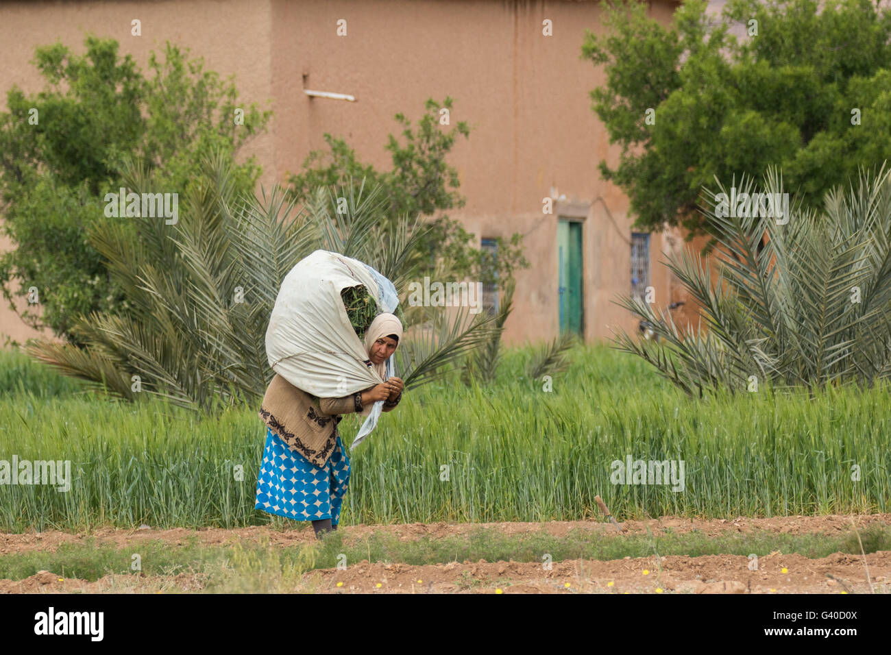 Woman carrying heavy load on back hi-res stock photography and images ...