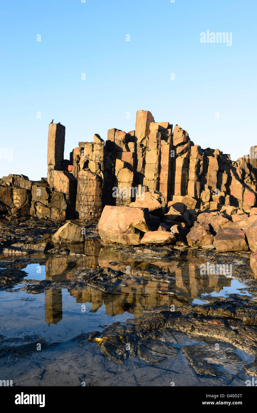 The basalt columns at Bombo Headland Quarry glow in the early morning ...