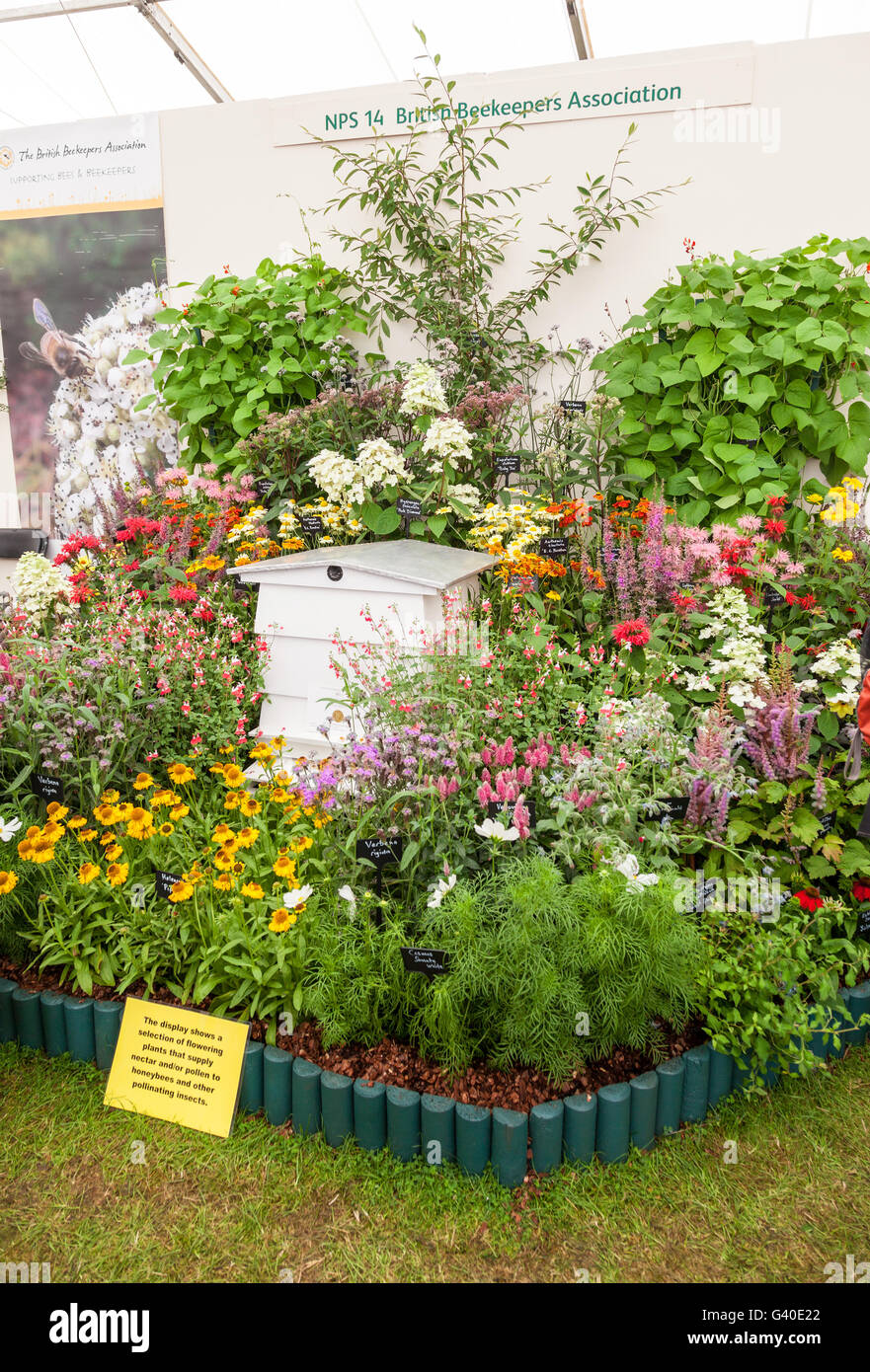The British Beekeepers Association display stand at RHS Tatton Park ...