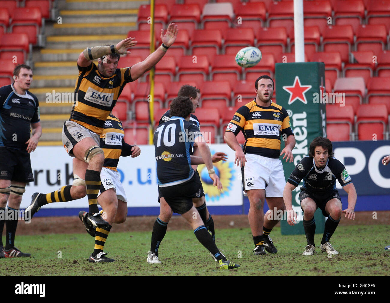 Glasgows ruaridh jackson heineken cup match firhill arena hi-res stock ...