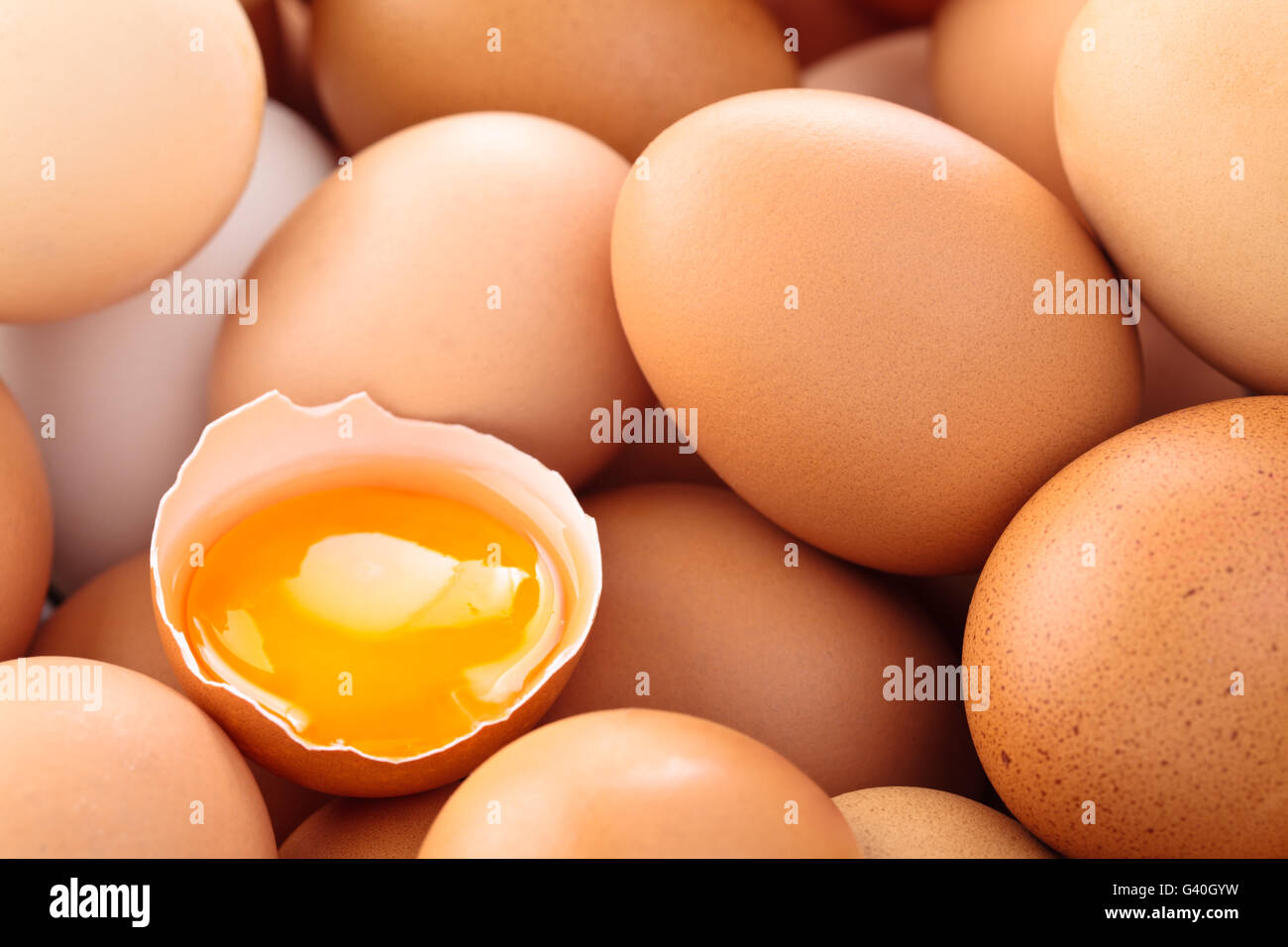 Fresh chicken eggs Stock Photo - Alamy