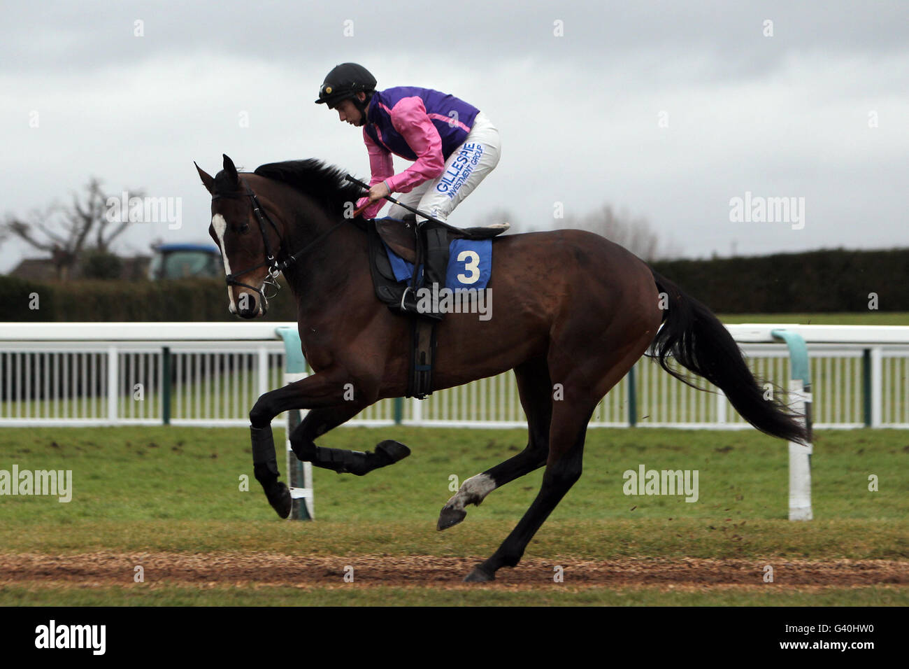 Lord Singer ridden by Jamie Moore goes to post for the start of The SIS ...