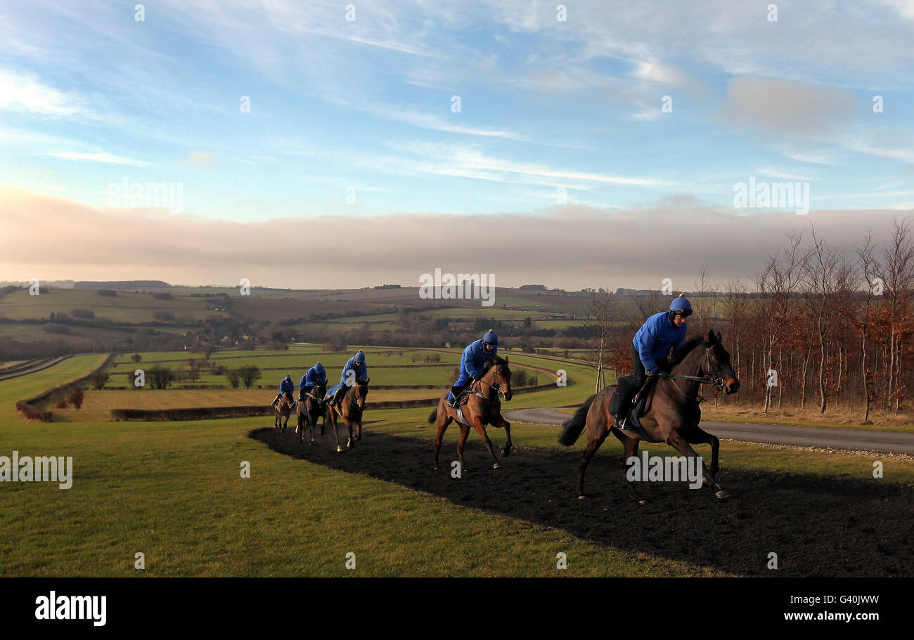 Horse racing visit to jonjo oneills stables jackdaws castle hi-res ...
