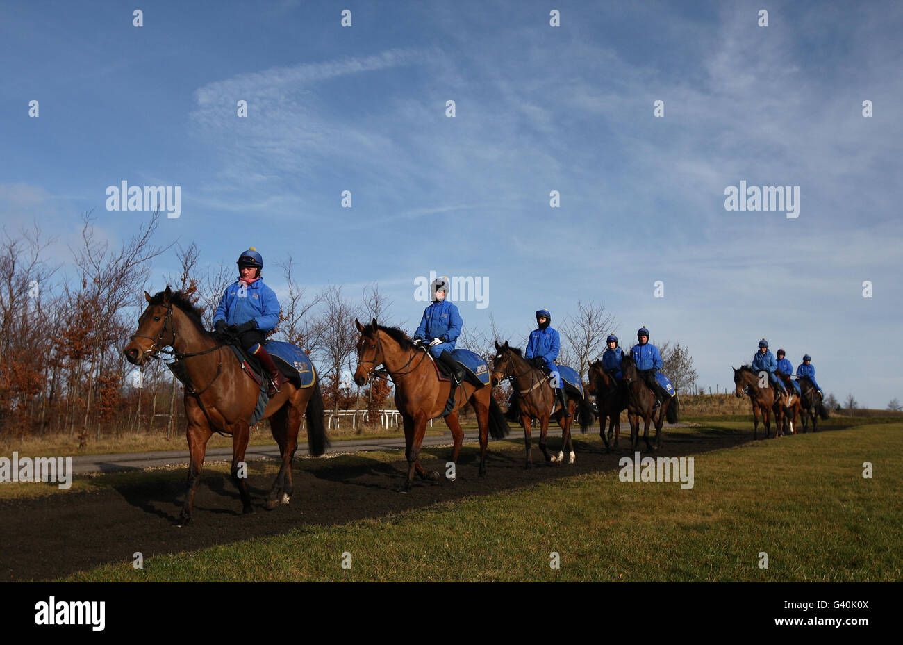 Horses exercise at Jonjo O'Neill's, Jackdaws Castle Stables in ...