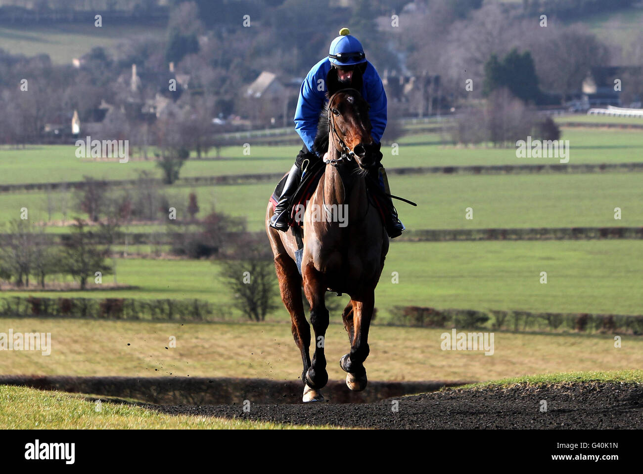 Horse racing visit to jonjo oneills stables jackdaws castle hi-res ...