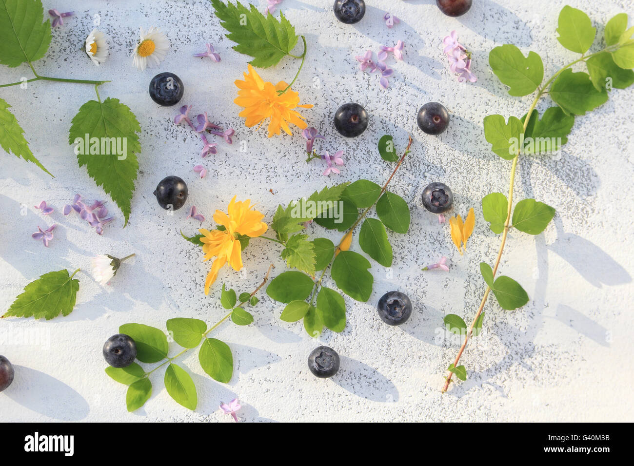 Beautiful summer/ spring background with fresh flowers and leaves on ...