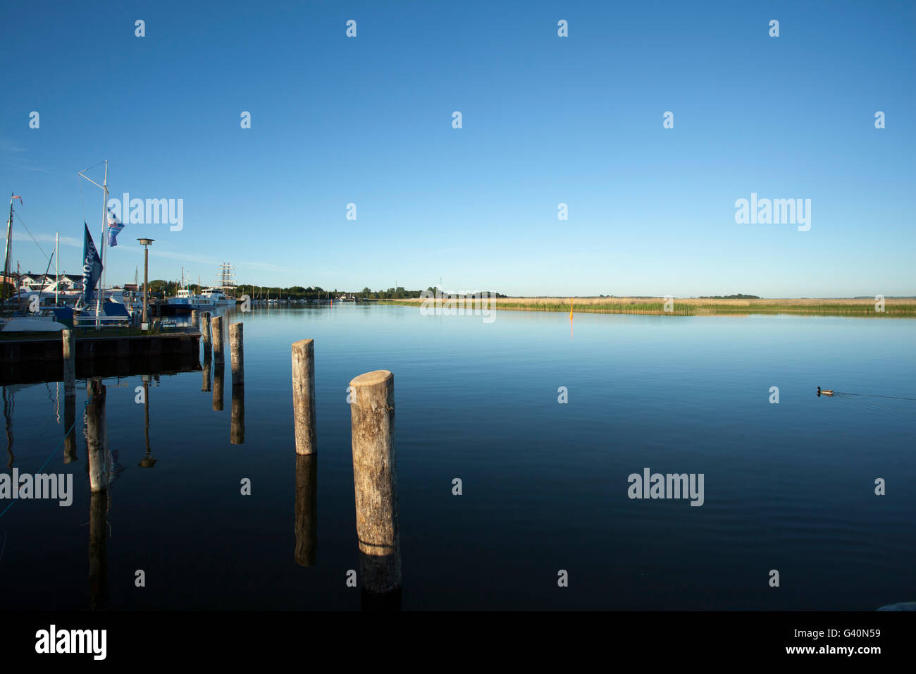 Western Pomerania Lagoon Area National Park near Zingst, Baltic Coast ...