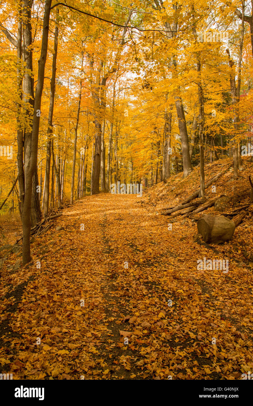 Peaceful walk about hi-res stock photography and images - Alamy