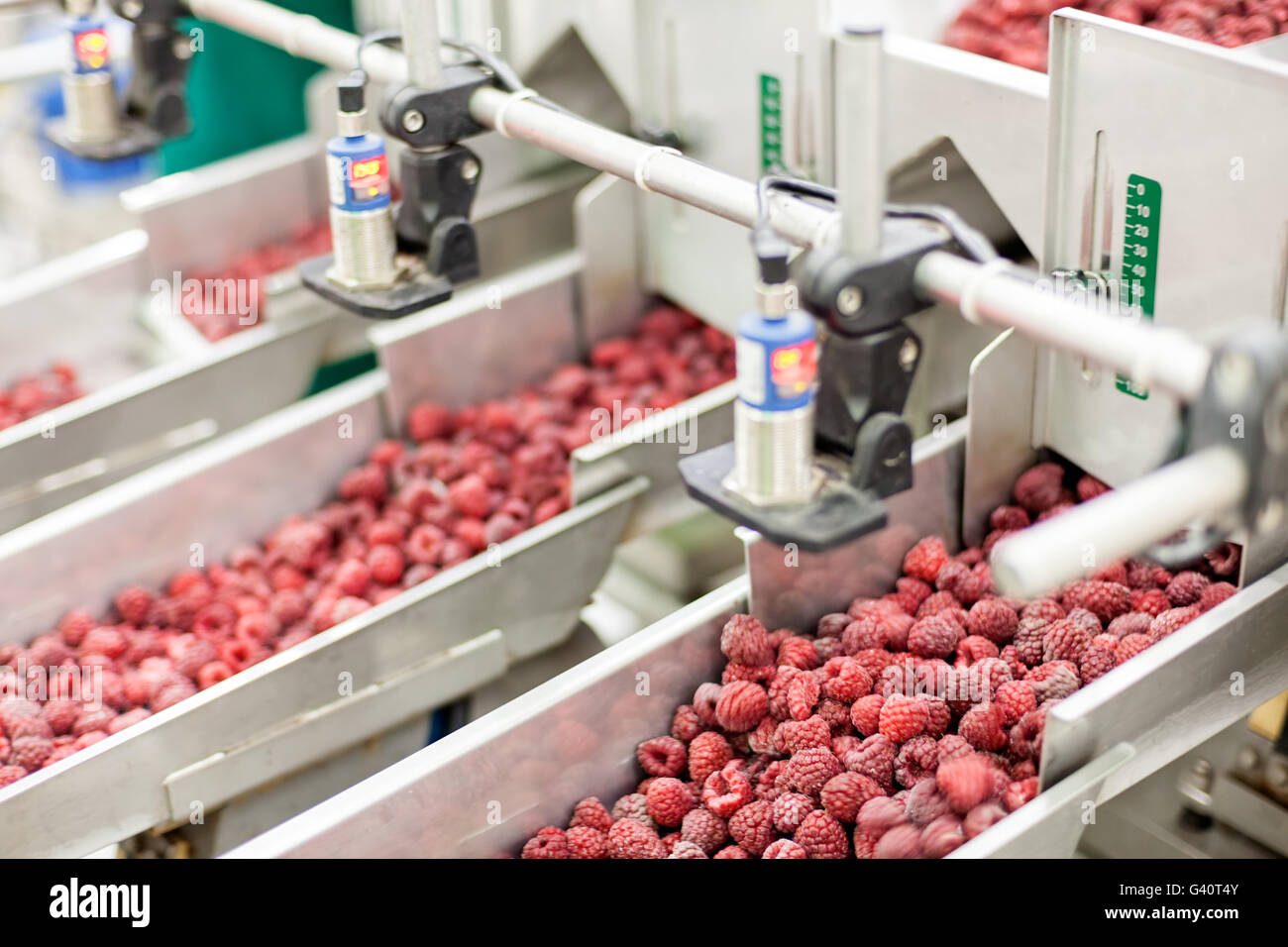 frozen red raspberries in sorting and processing machines Stock Photo ...