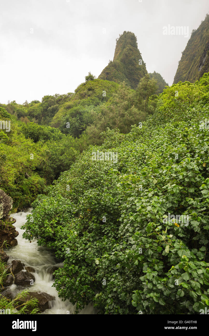 Iao's Needle and the Kinihapai Stream Stock Photo - Alamy