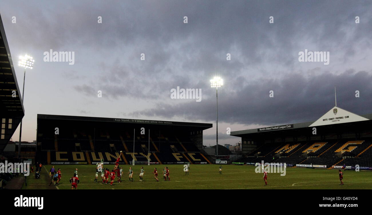 National rugby league line out hi-res stock photography and images - Alamy