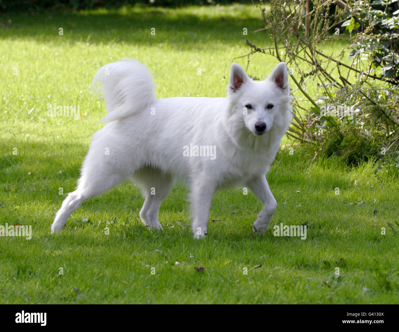 Danish farming hi-res stock photography and images - Alamy