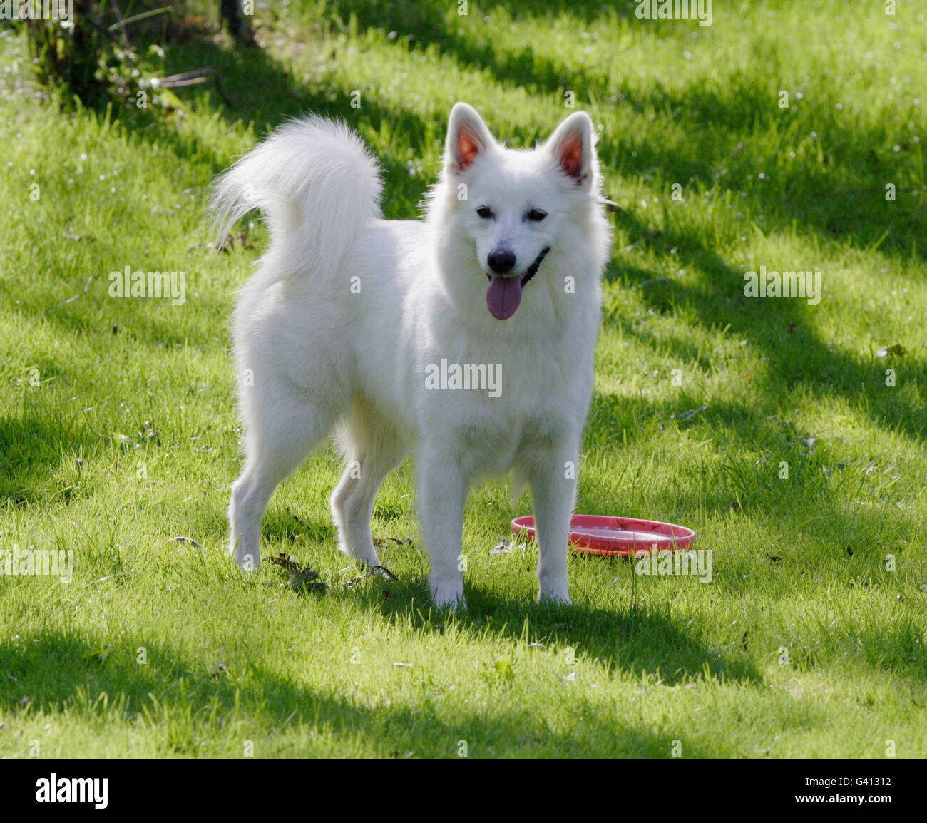 Danish farming hi-res stock photography and images - Alamy
