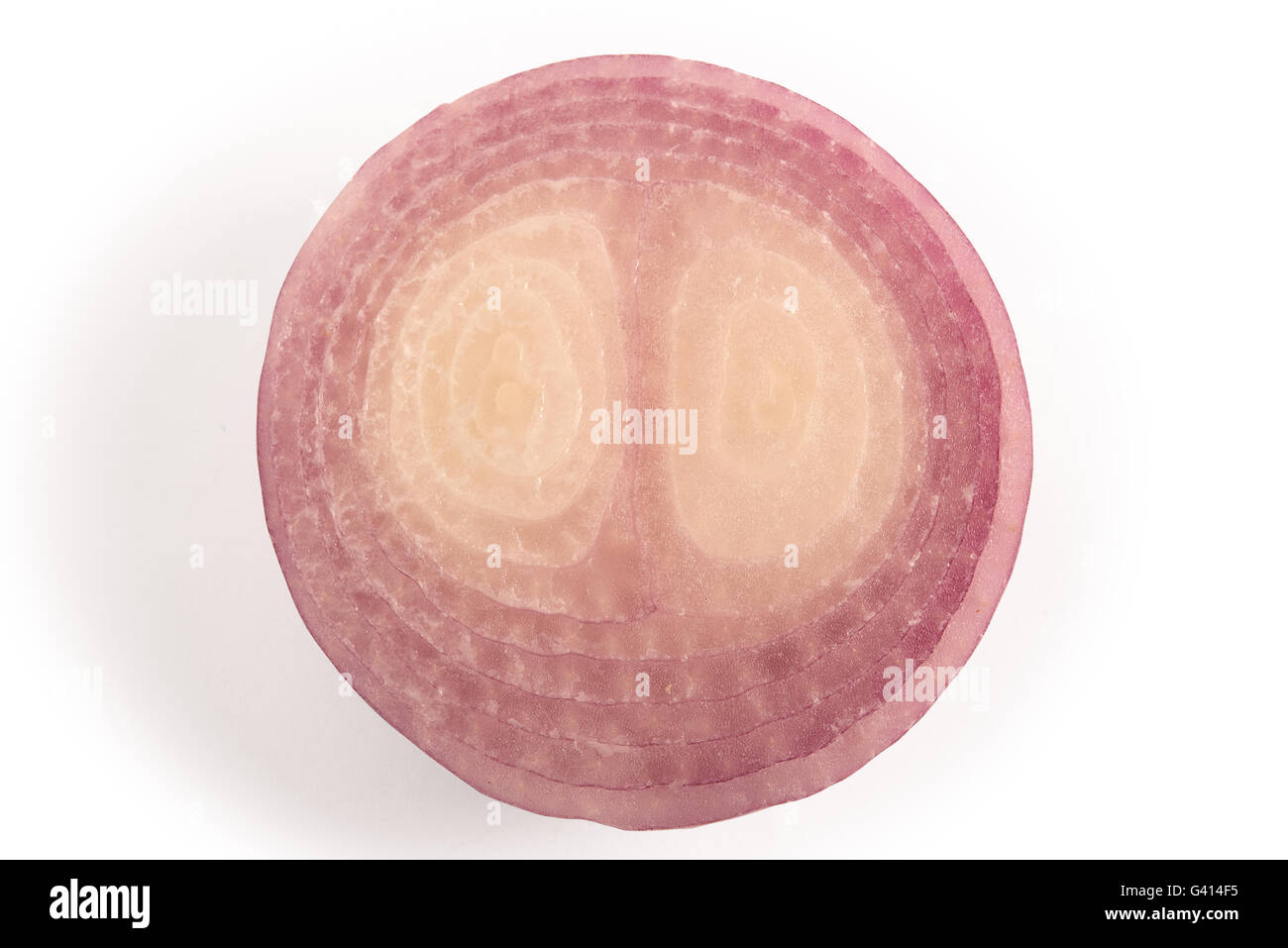 Section single red onion sliced hi-res stock photography and images - Alamy