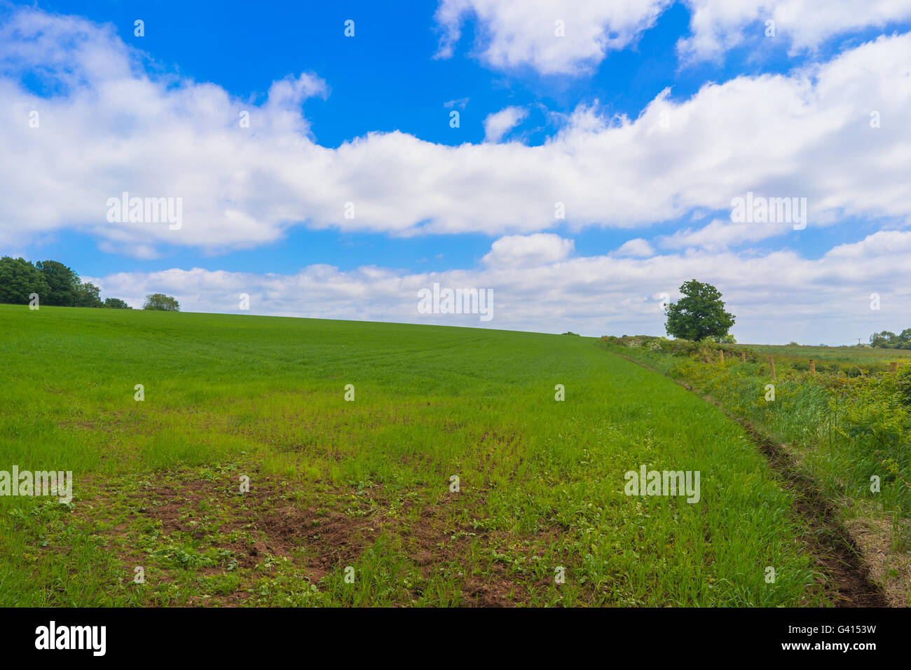 Coventry landscape field hi-res stock photography and images - Alamy