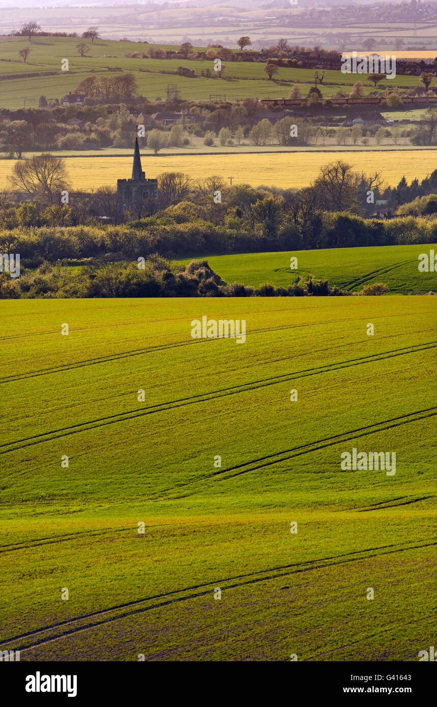 Buckinghamshire farmland hi-res stock photography and images - Alamy