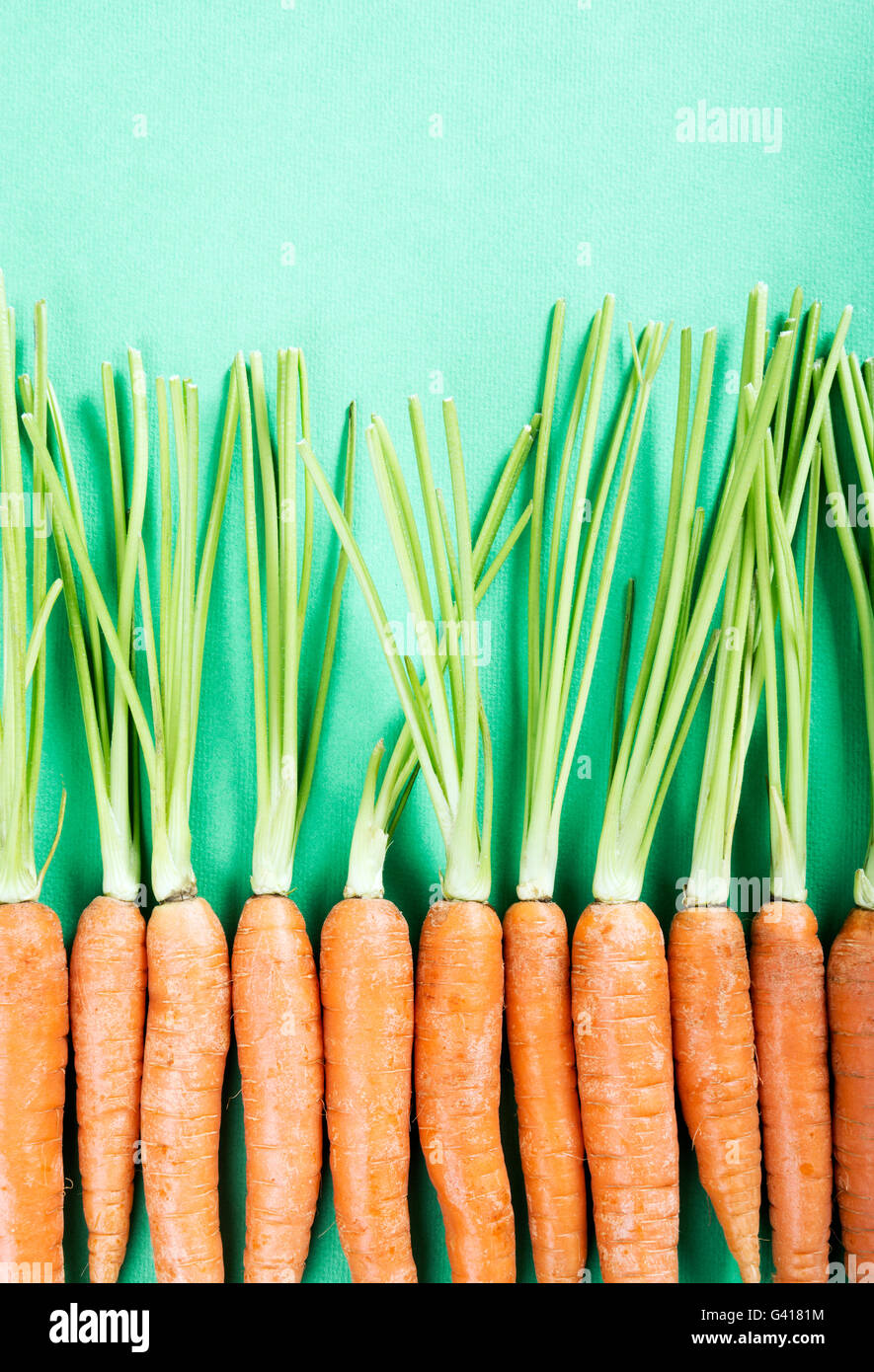 fresh organic carrots in a row on the green background Stock Photo - Alamy
