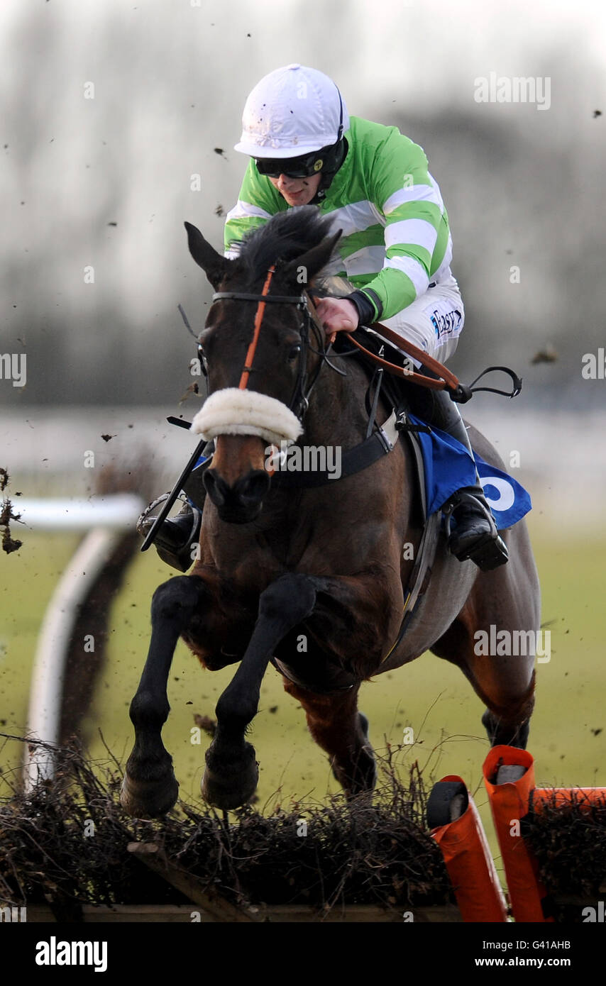 Horse Racing - Huntingdon Racecourse Stock Photo - Alamy