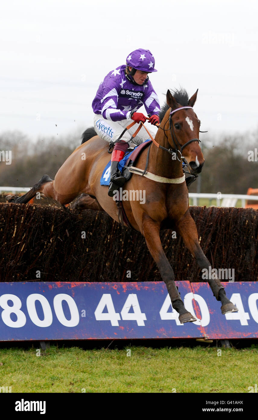 Horse Racing - Huntingdon Racecourse Stock Photo - Alamy