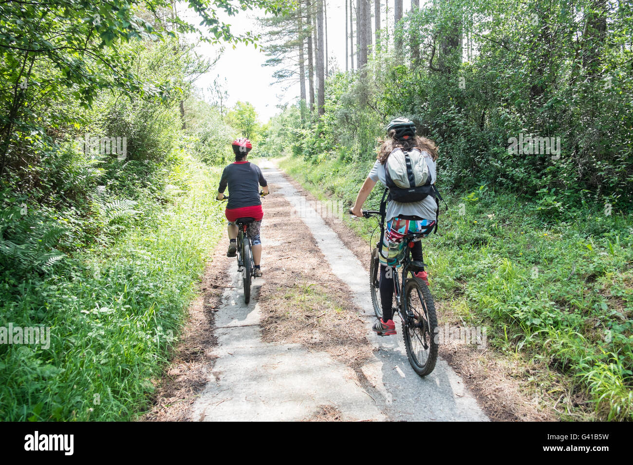 Family,Cycling on National Cycling Network Route 4,London to Fishguard ...