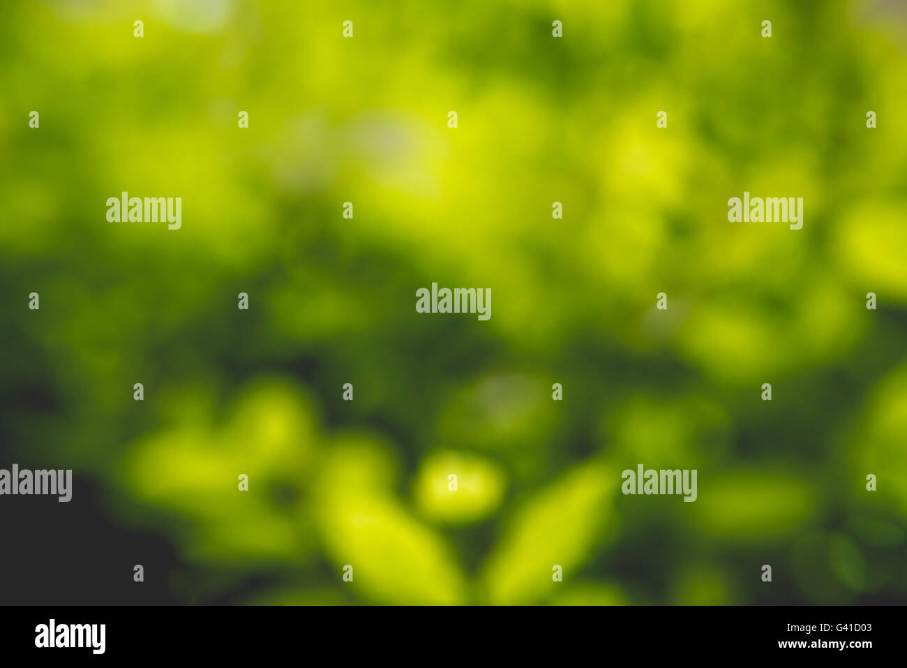 Abstract green nature background Stock Photo - Alamy