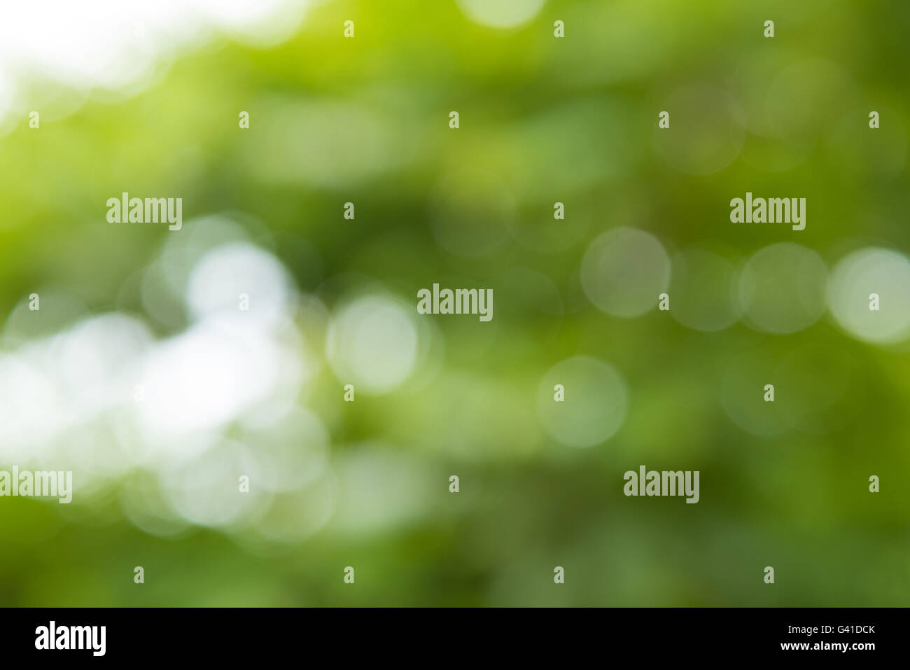 Abstract green nature background Stock Photo - Alamy Abstract green nature background Stock Photo - Alamy
