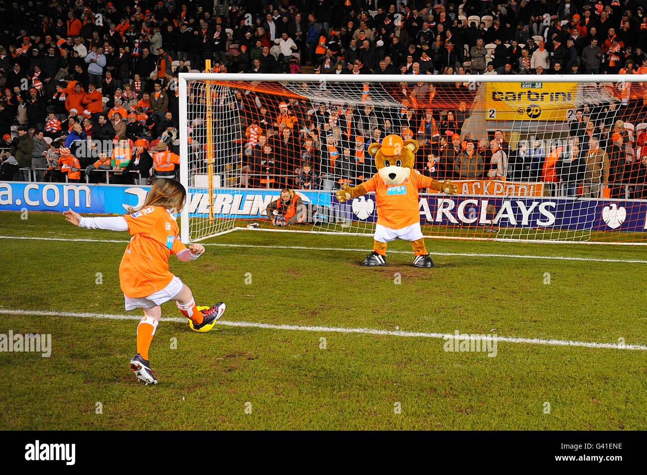 The blackpool mascot bloomfield bear hi-res stock photography and ...