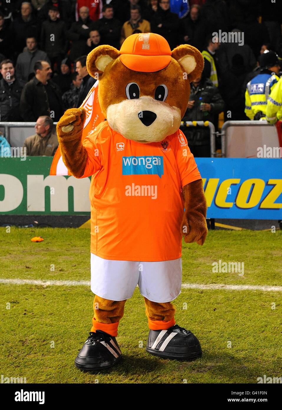 The blackpool mascot bloomfield bear hi-res stock photography and ...