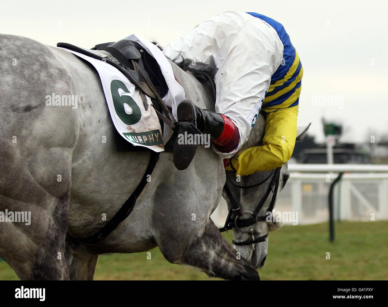 Robert manges hi-res stock photography and images - Alamy