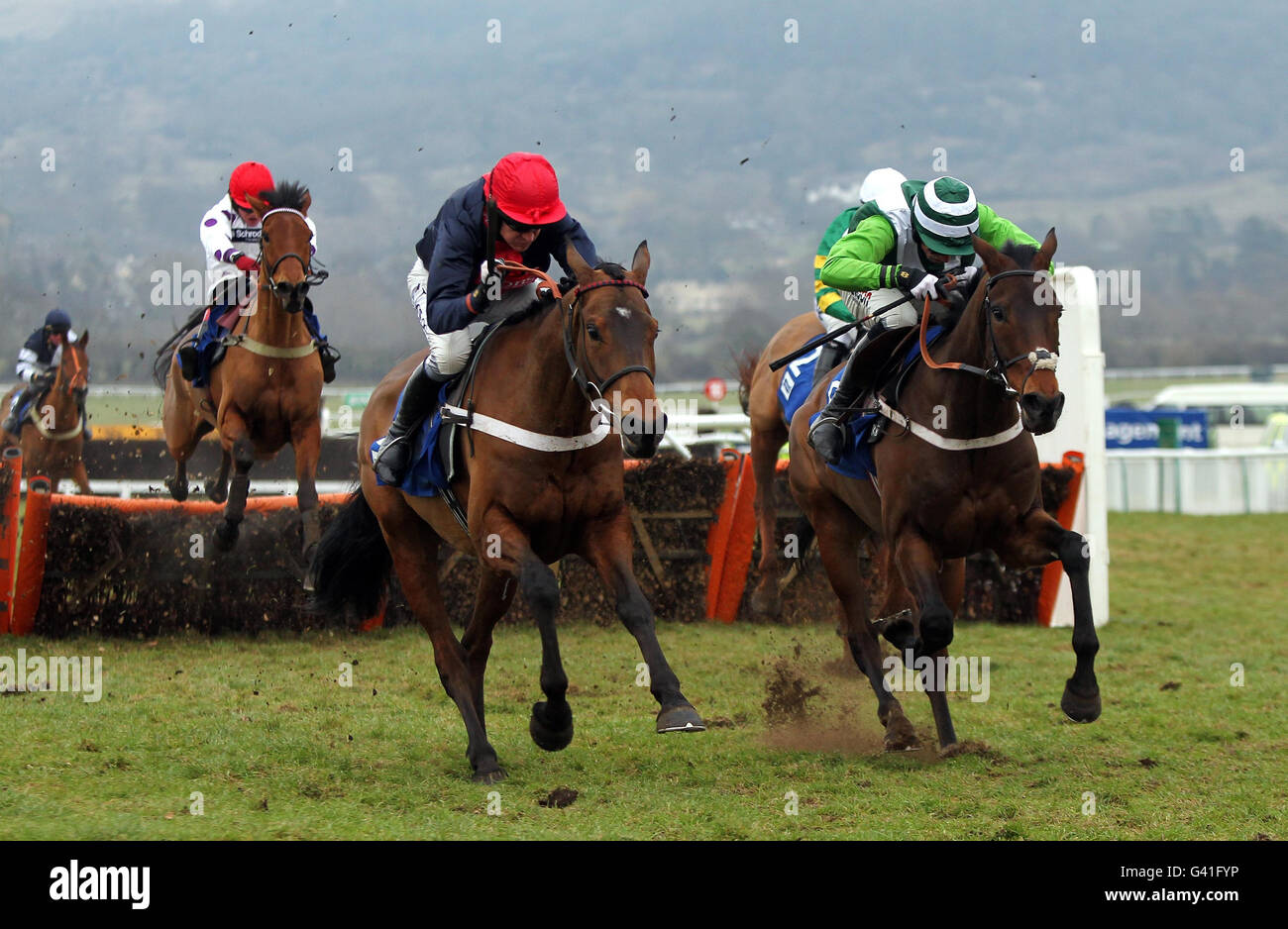 Horse contests hi-res stock photography and images - Alamy