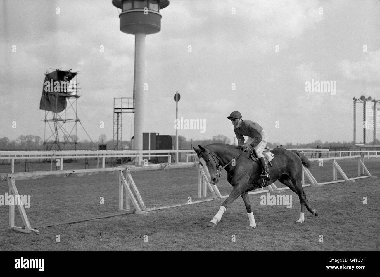 1964 grand national hi-res stock photography and images - Alamy
