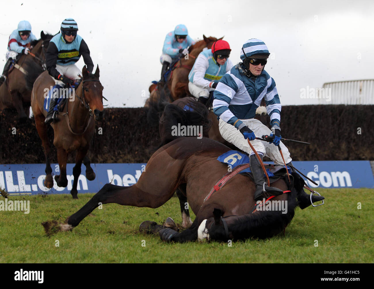 Charlie Poste falls from Shannon's Boy during the Lindley Catering ...