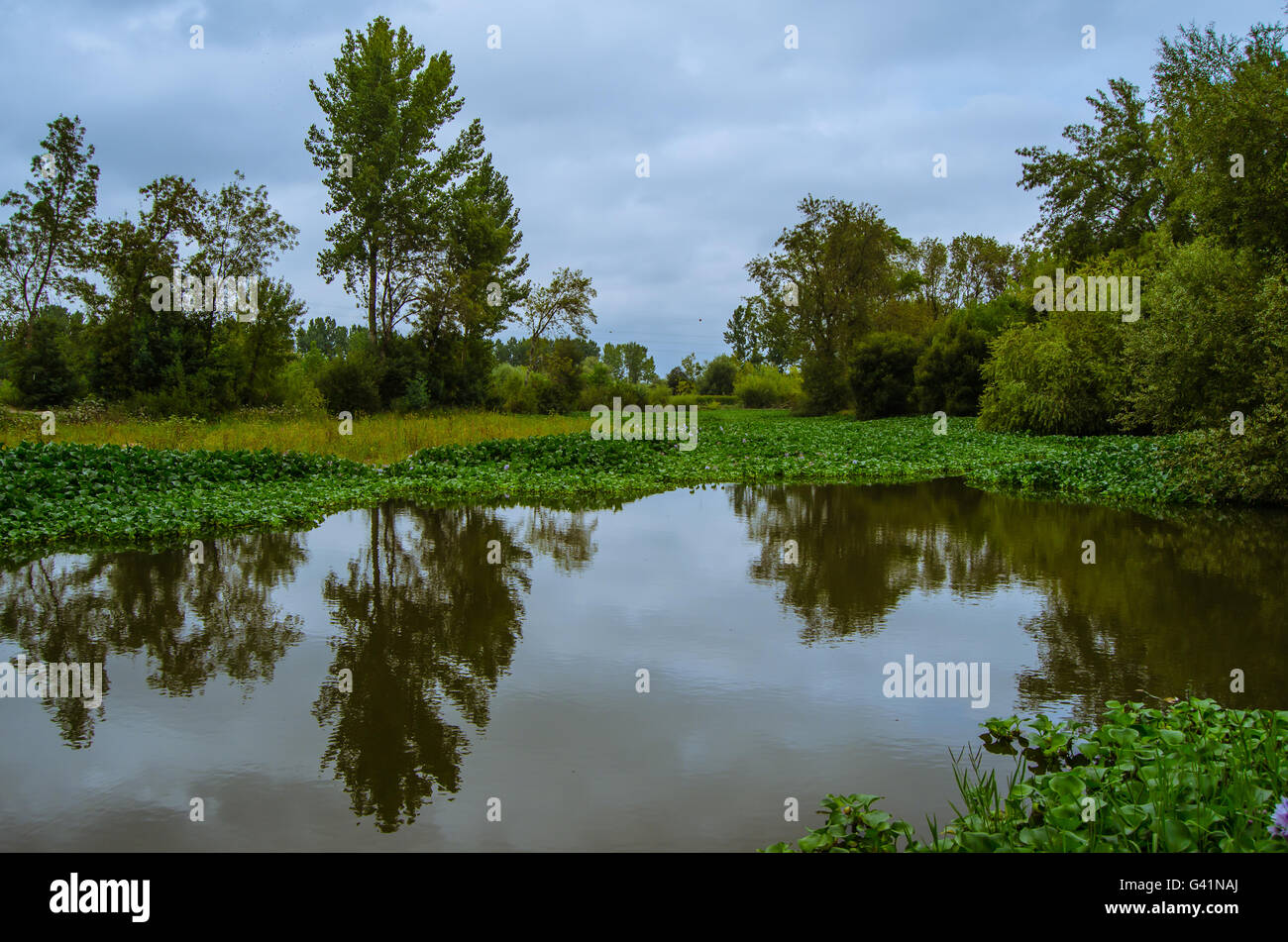 Certima river hi-res stock photography and images - Alamy