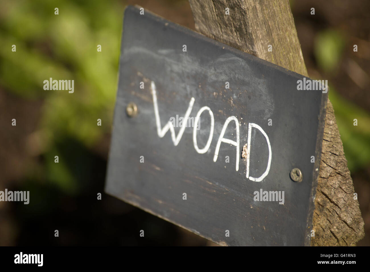 Woad sign hi-res stock photography and images - Alamy