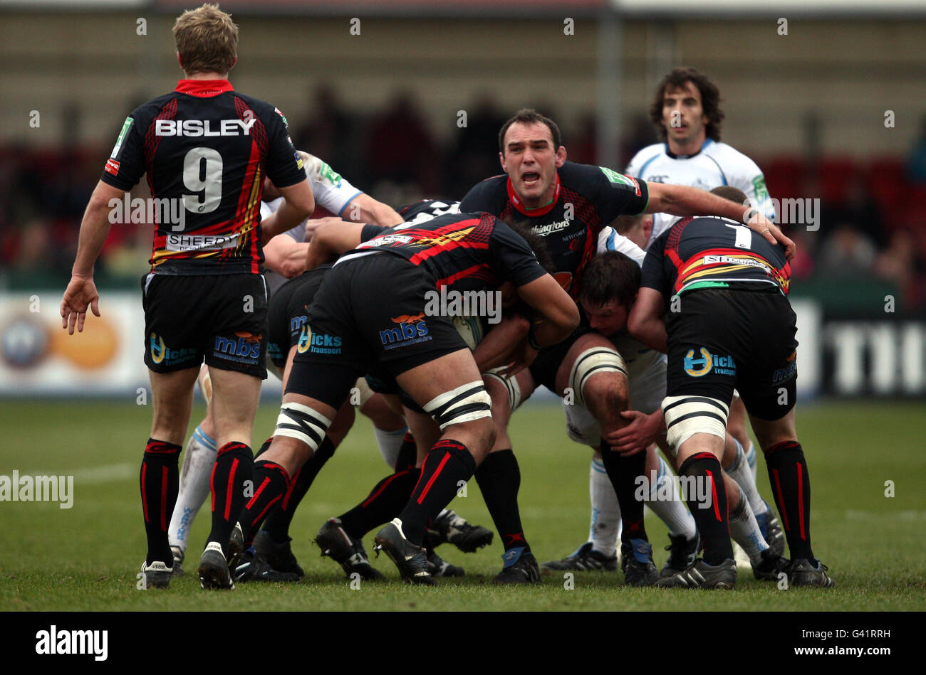 Newport Gwent Dragons' Robert Sidoli encourages his forwards to drive ...
