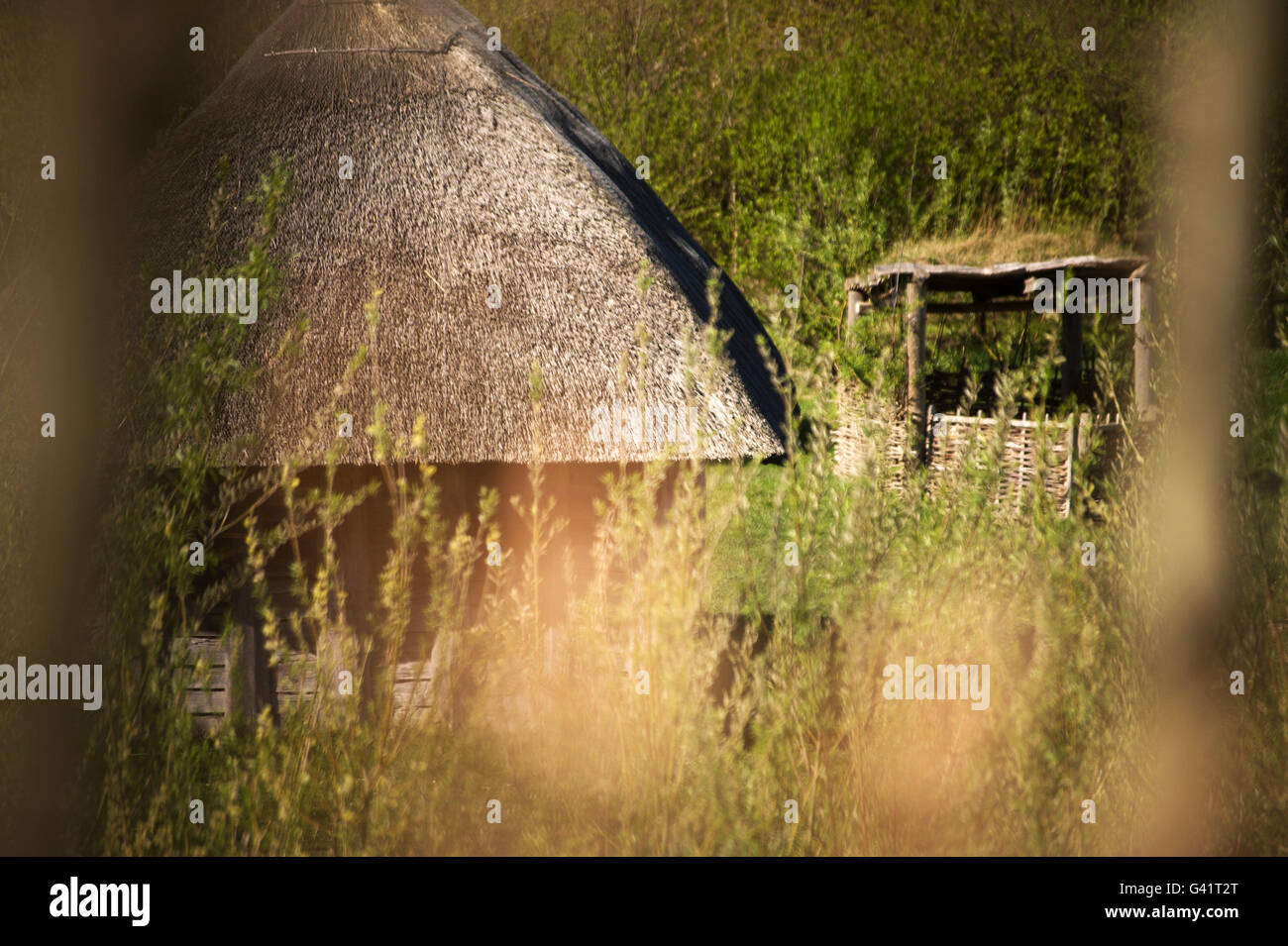 Reproduction medieval village at Bede's World / Jarrow Hall Stock Photo ...