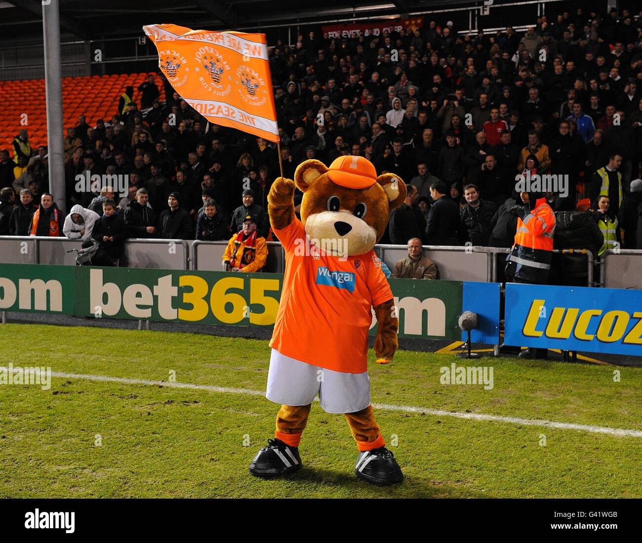 Blackpool mascot bloomfield bear greats fans at half time hi-res stock ...