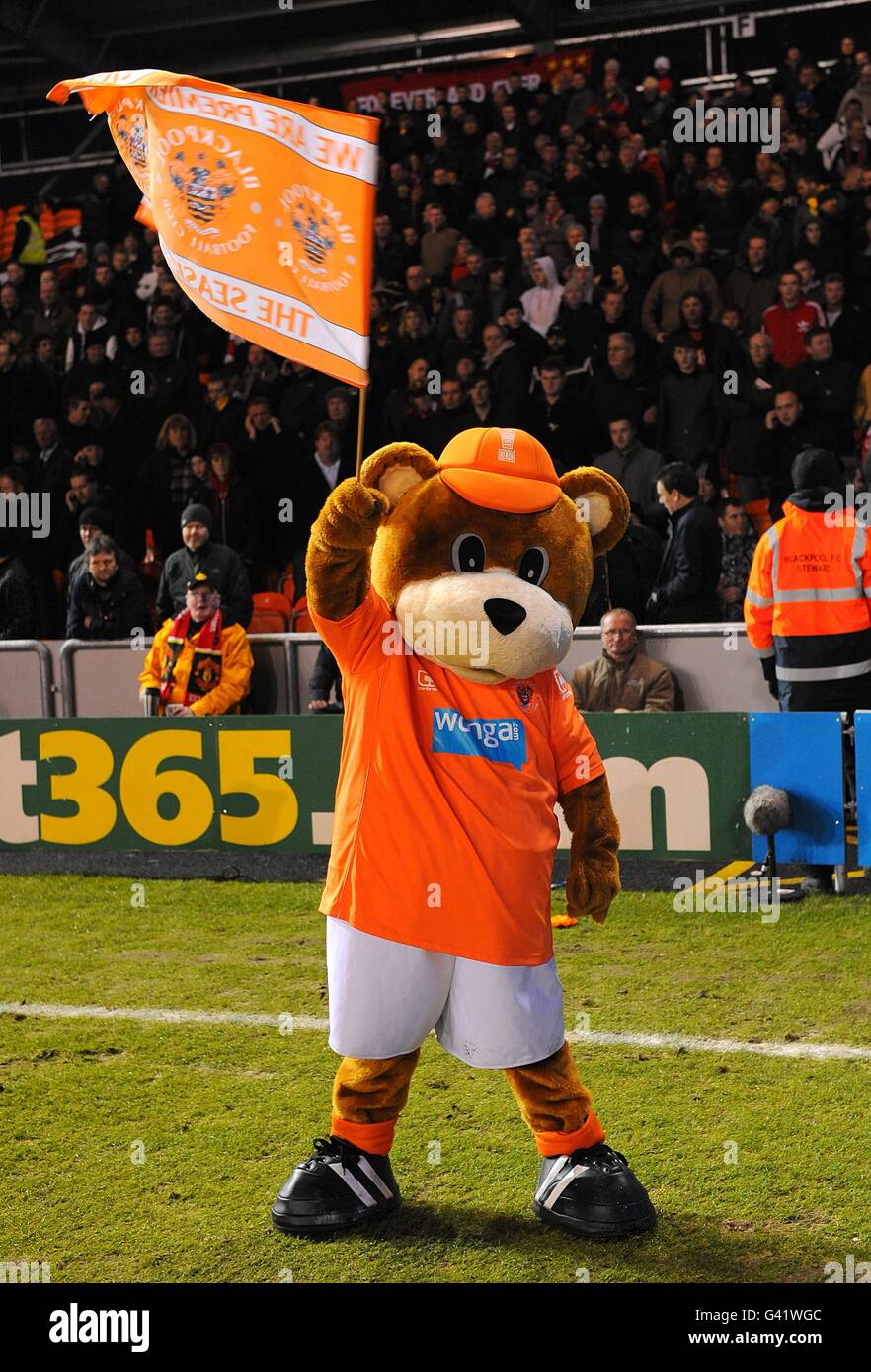 Blackpool mascot bloomfield bear greats fans at half time hi-res stock ...