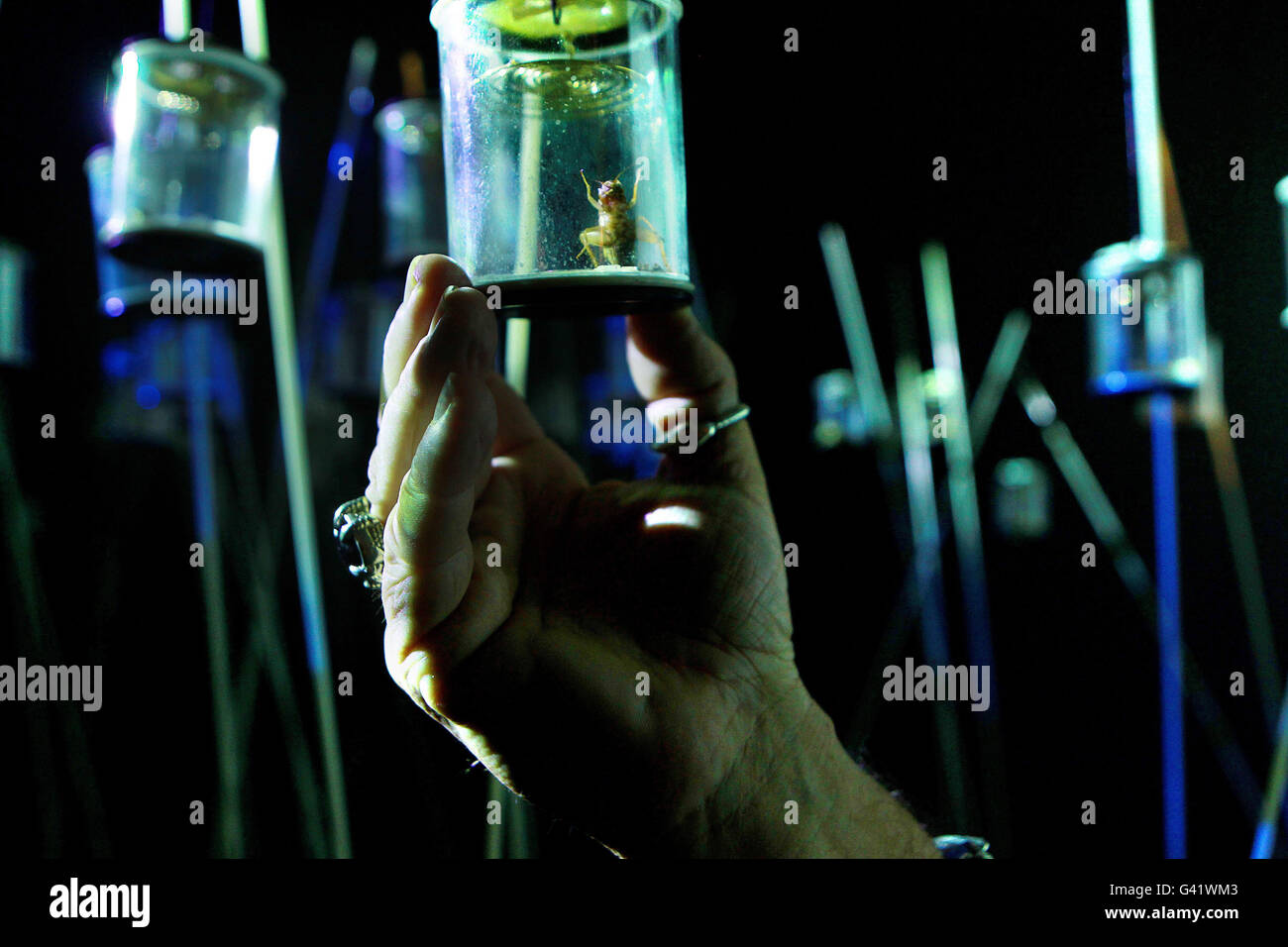 'Visceral-The Living Art Experiment' exhibition Stock Photo - Alamy