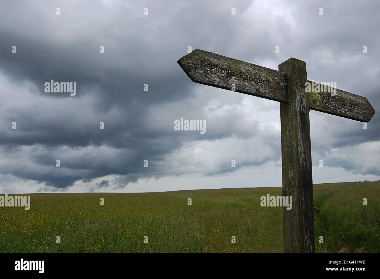 Meadow sign hi-res stock photography and images - Alamy